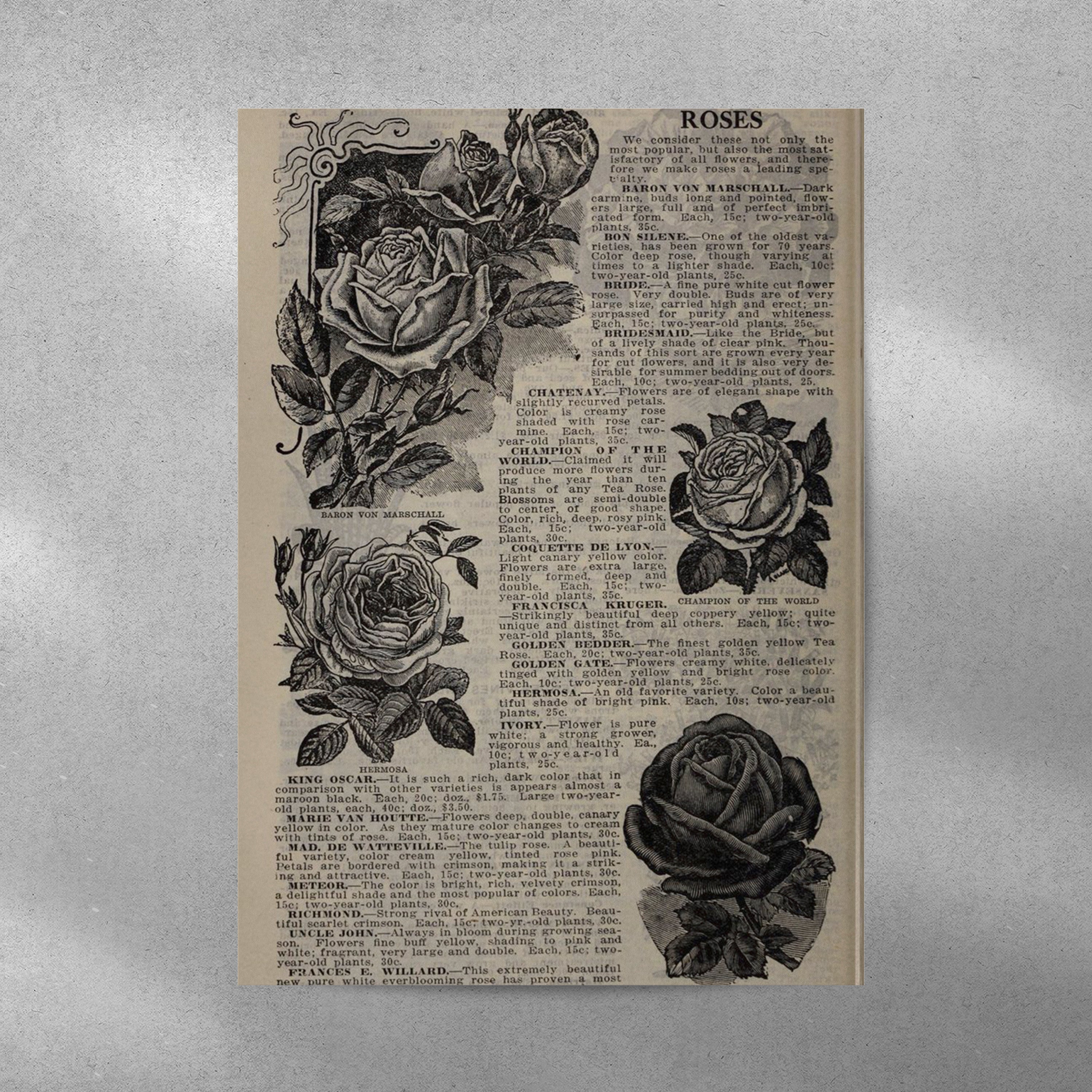 Vintage Metal Aesthetic Posters by Culltique